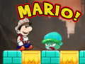 Mario! 🕹️ Play online on Sgames