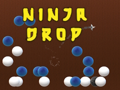 Ninja Drop 🕹️ Play online on Sgames